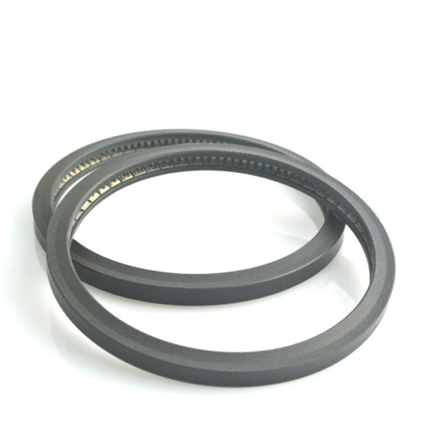 Loading arm crane cryogenic seal spring lip seal manufacturer